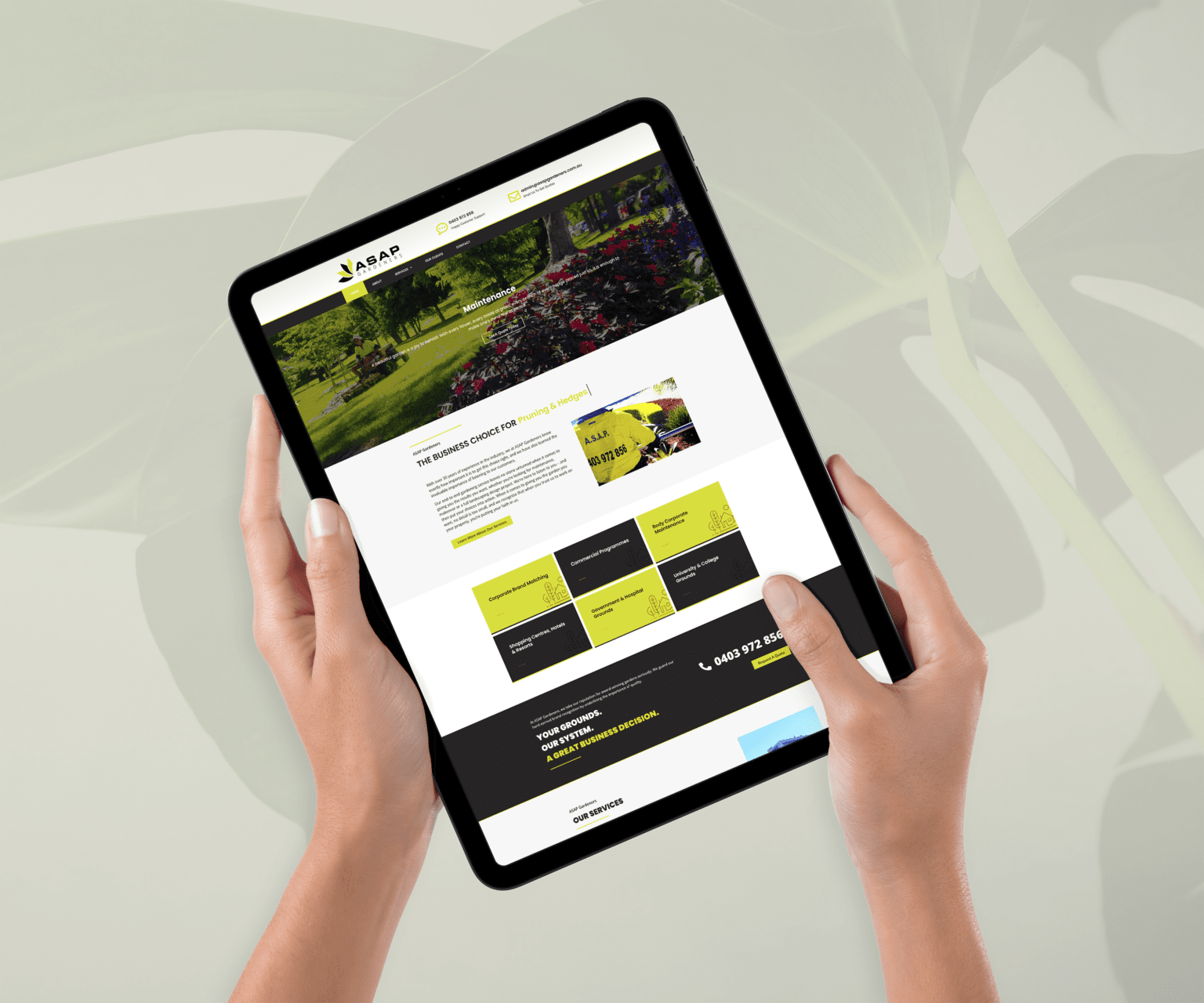 Web Design Brisbane | Excite Media (Award-Winning Agency)